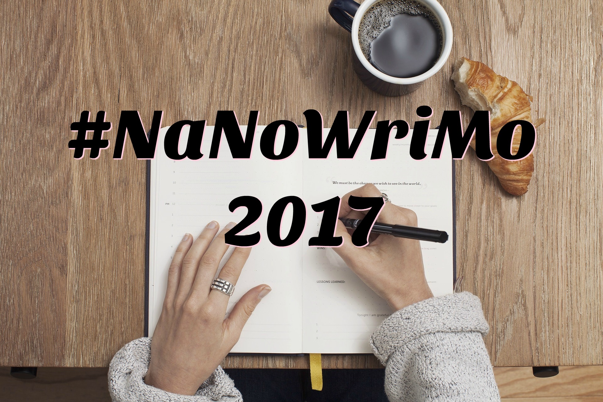 Planner or Pantser? How about Plantser? – miss macross